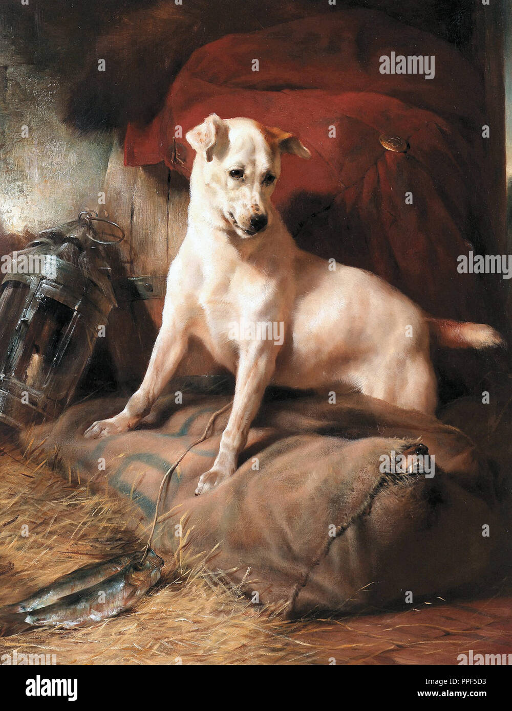 Edwin fox hi-res stock photography and images - Alamy