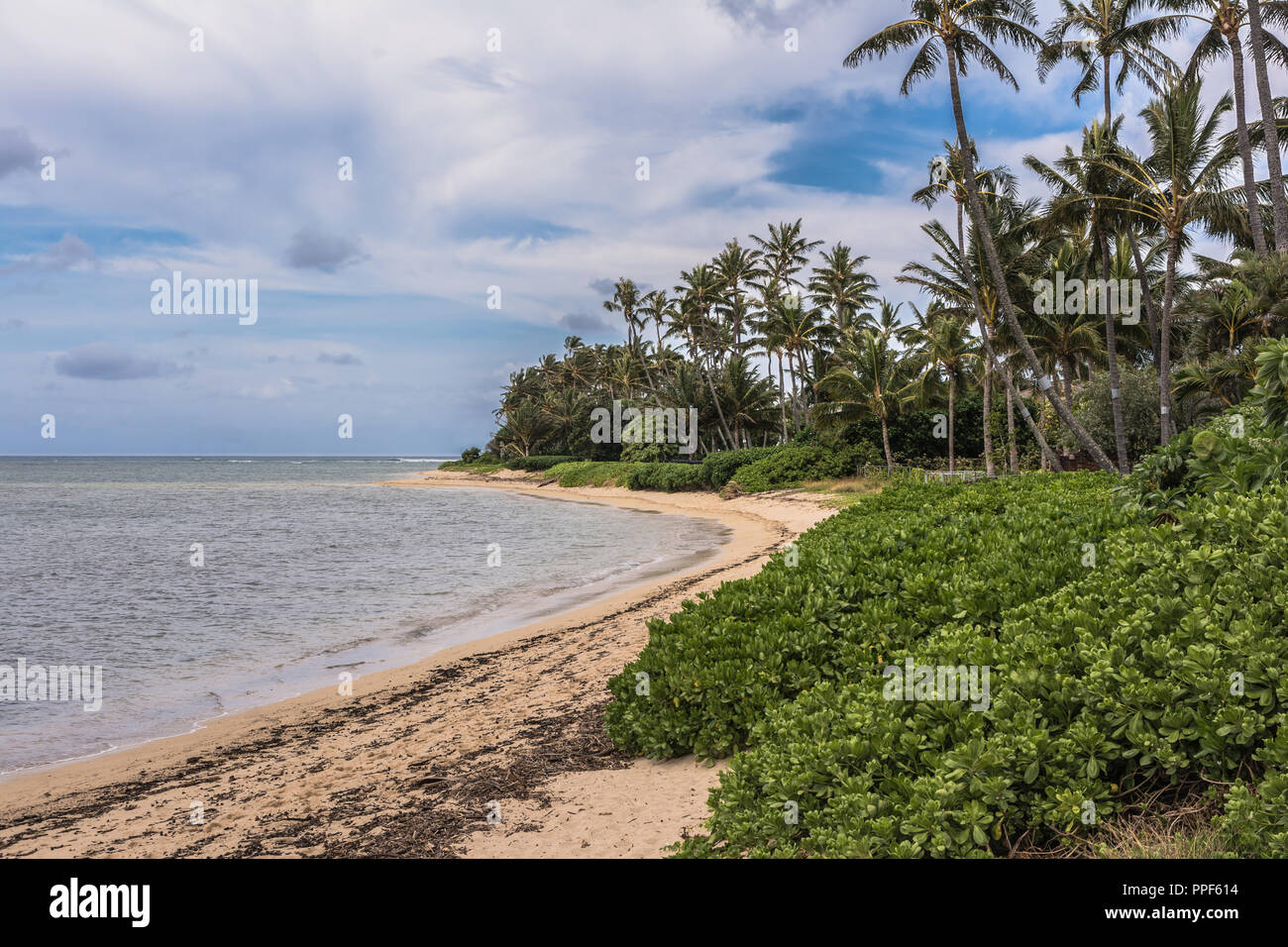 Sand beach along the Waialae Beach coast, Oahu, Hawaii Stock Photo - Alamy