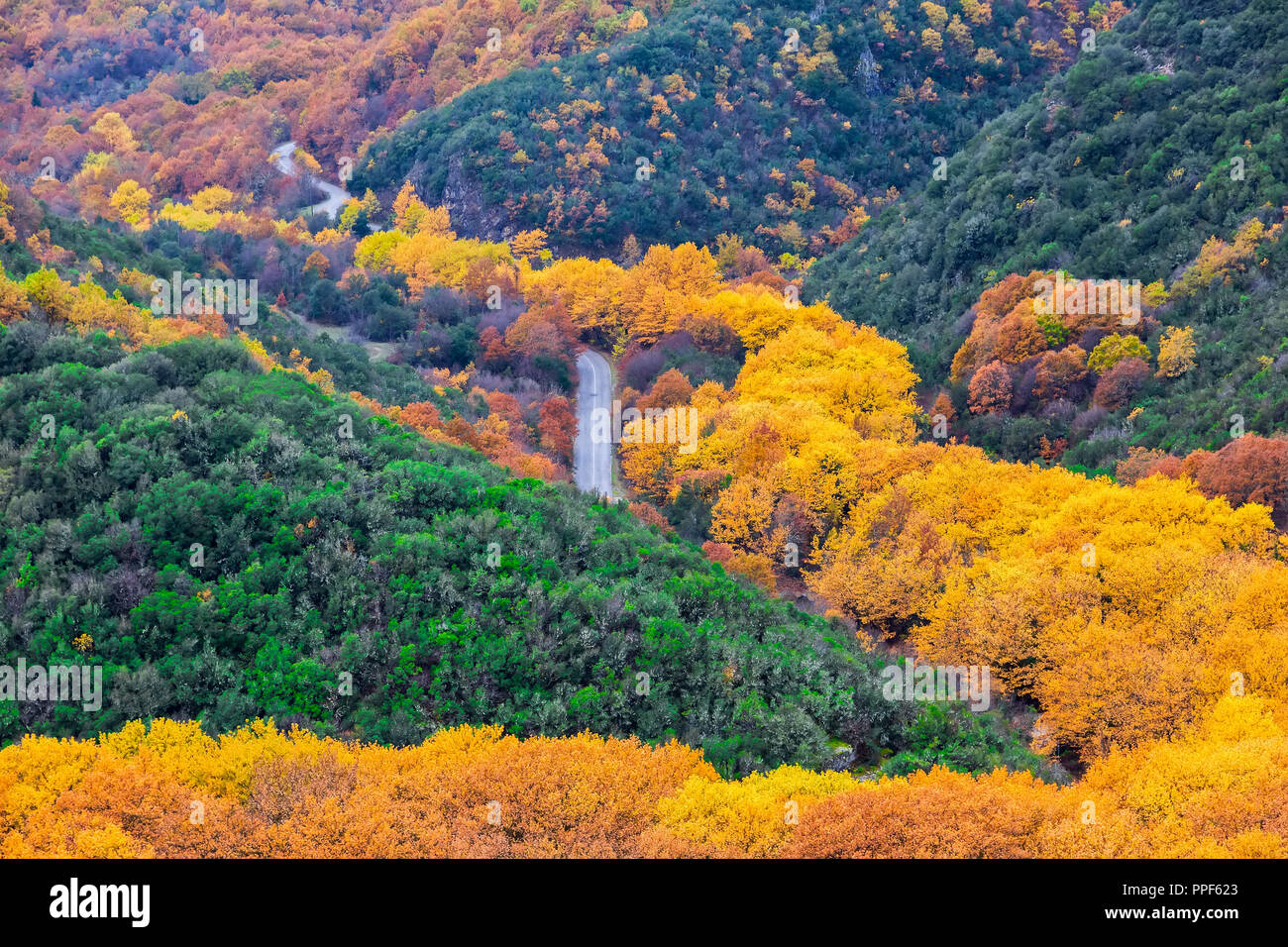 Panoramic aerial view ravine forest hi-res stock photography and images ...
