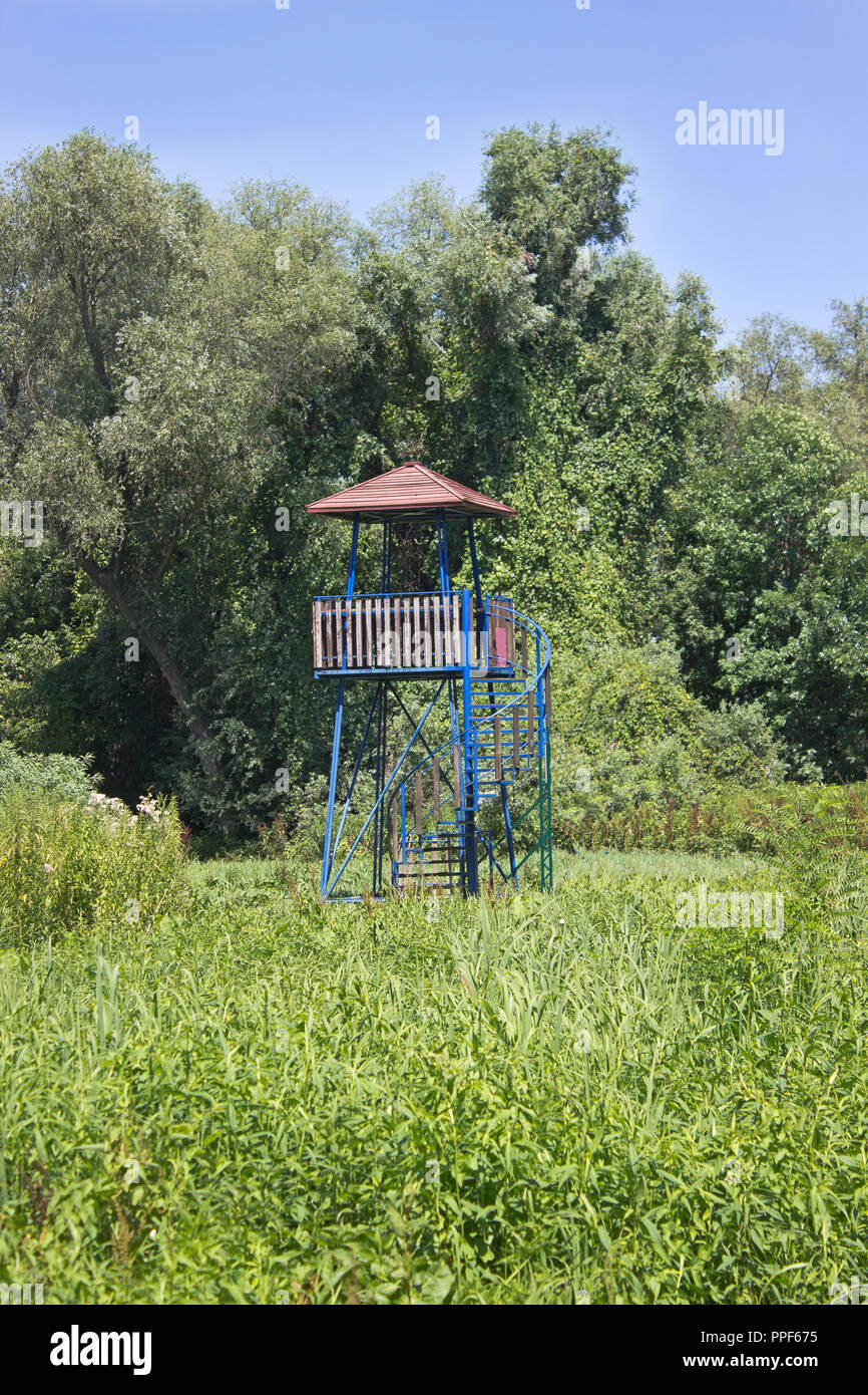 Bird watching tower in a forest Stock Photo - Alamy