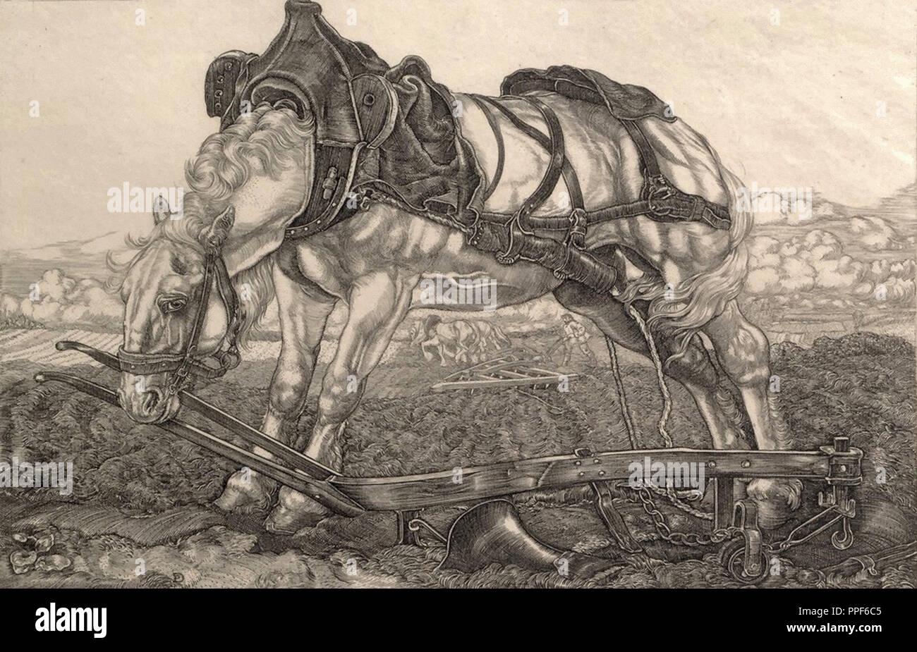 Cheval de hi-res stock photography and images - Alamy