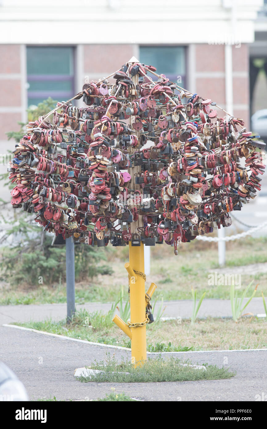 Love tree with colorful locks standing in the courtyard on the house ...