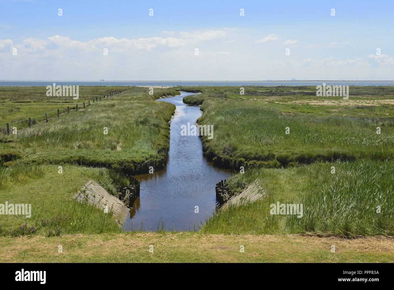 Tideway and drain ditch in green salt marshes in the west from the East ...