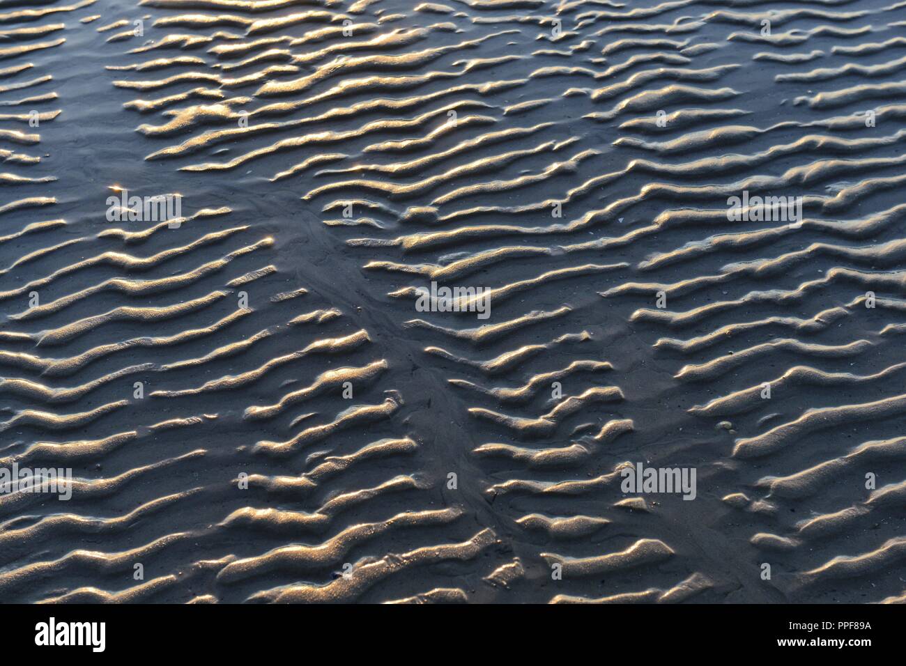 Ripple marks in sea hi-res stock photography and images - Alamy