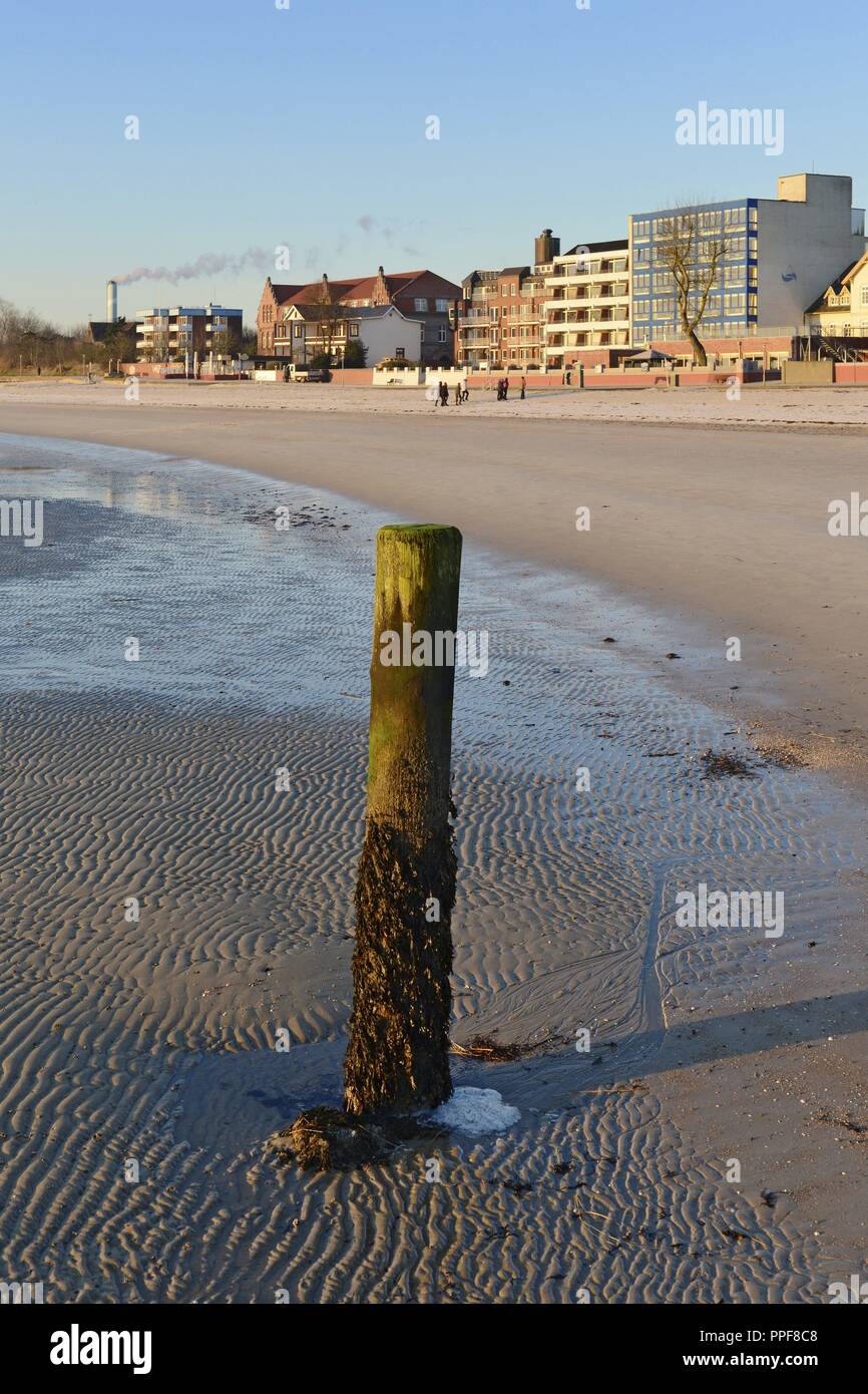 Wooden pile on Wyk auf Föhr's bathing beach surrounded by sediment ...