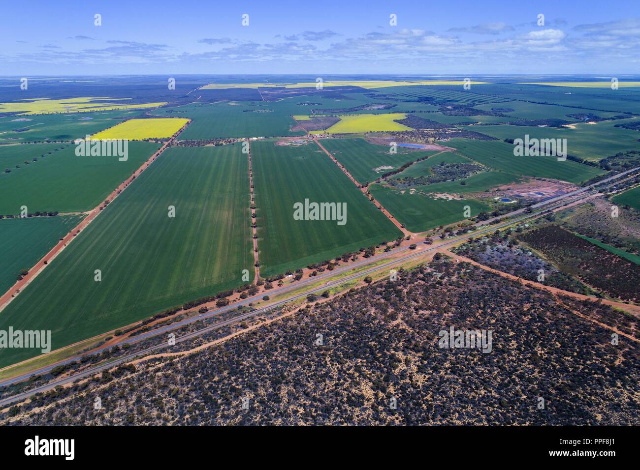 Australian wheat fields hi-res stock photography and images - Alamy