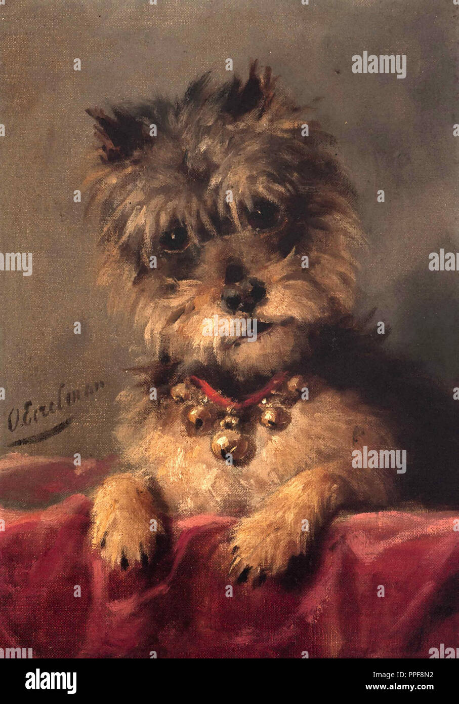 Smous hi-res stock photography and images - Alamy