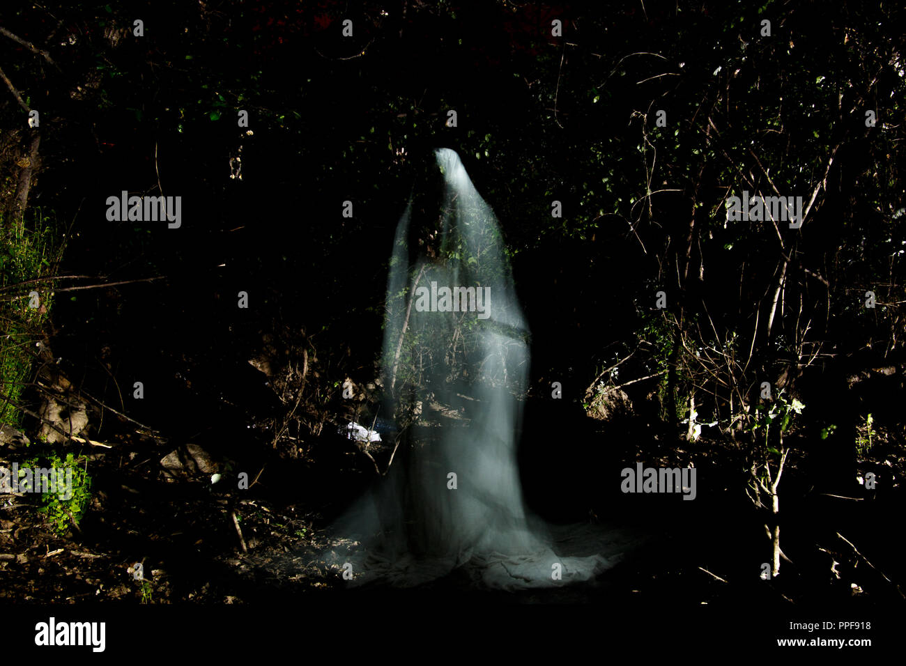 Long exposure photograph depicting a ghost in the middle of the forest ...