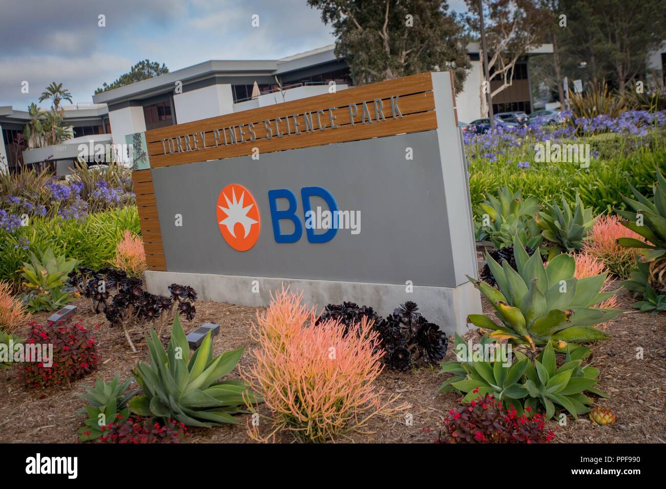 Bd Biosciences Logo Online Cheap | brunofuga.adv.br