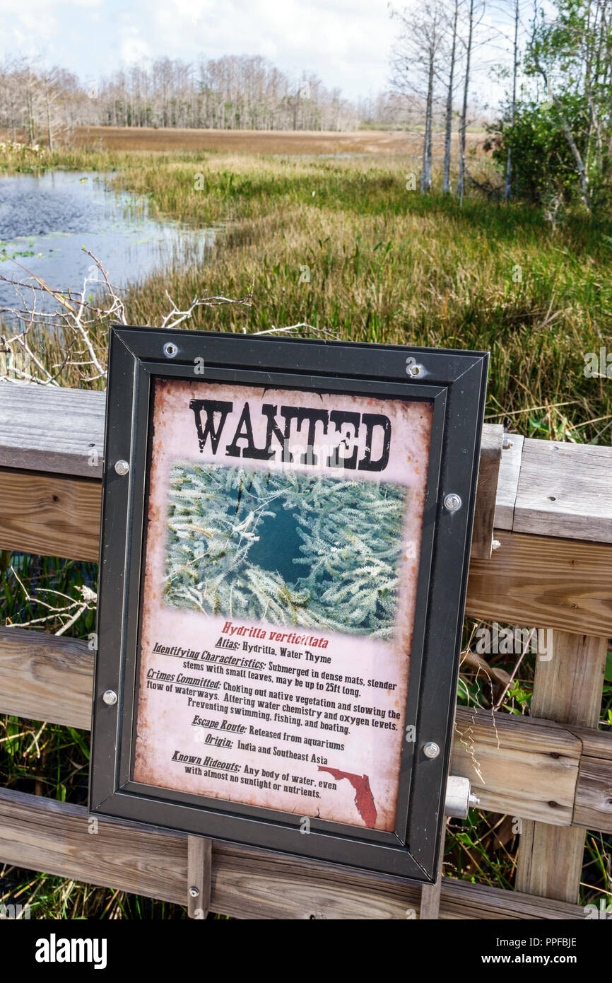 West Palm Beach Florida,Grassy Waters Nature Preserve wetlands ...