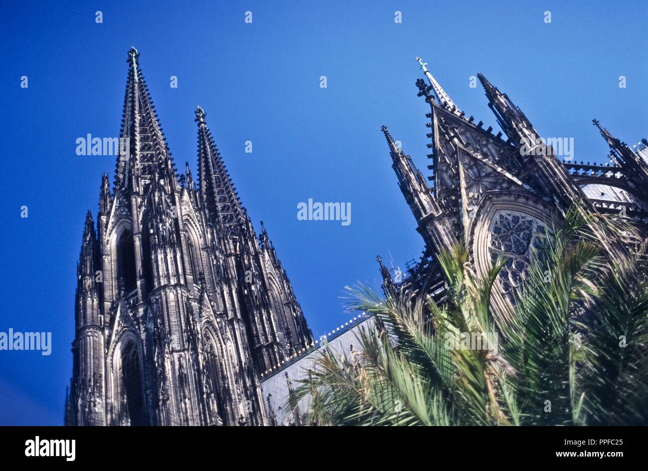 Köln, Dom - Cologne, Dome Stock Photo - Alamy