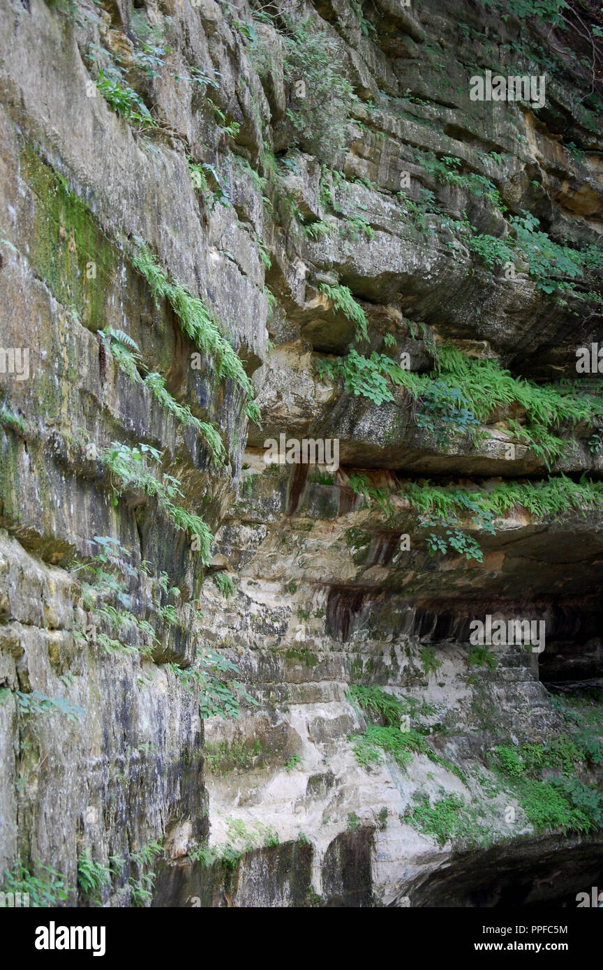 Outdoor activites hi-res stock photography and images - Alamy