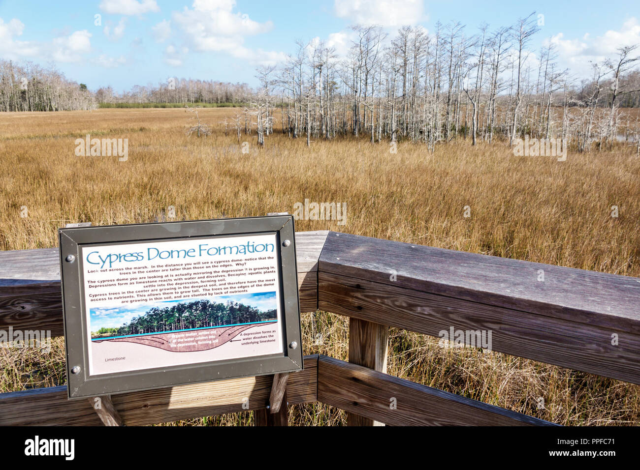 West Palm Beach Florida,Grassy Waters Nature Preserve wetlands ...