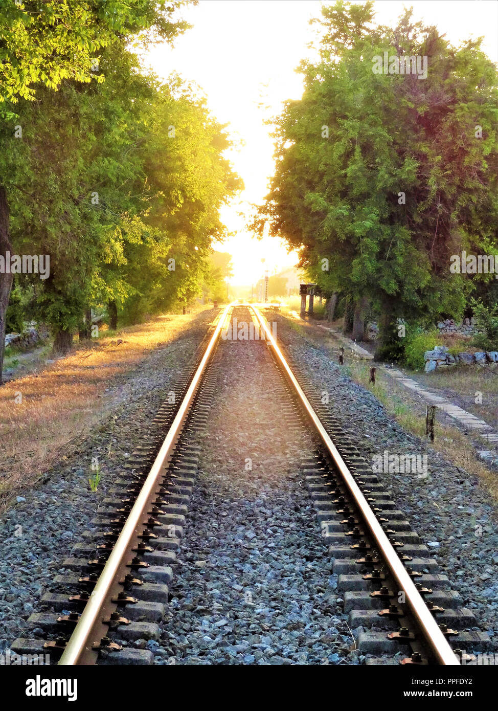 Railway tracks run towards the horizon at sunset between two rows of ...