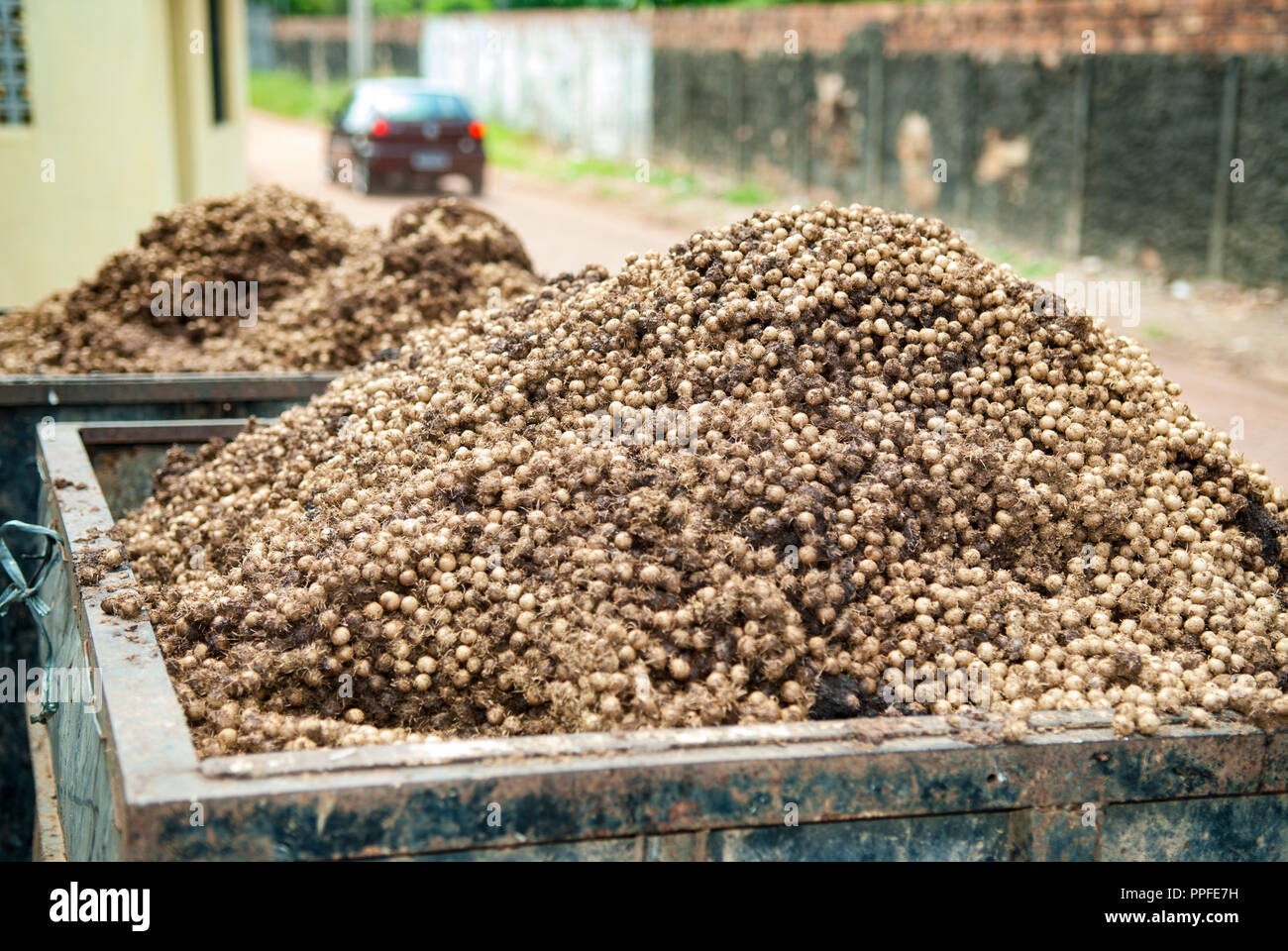 Seed bin hi-res stock photography and images - Alamy