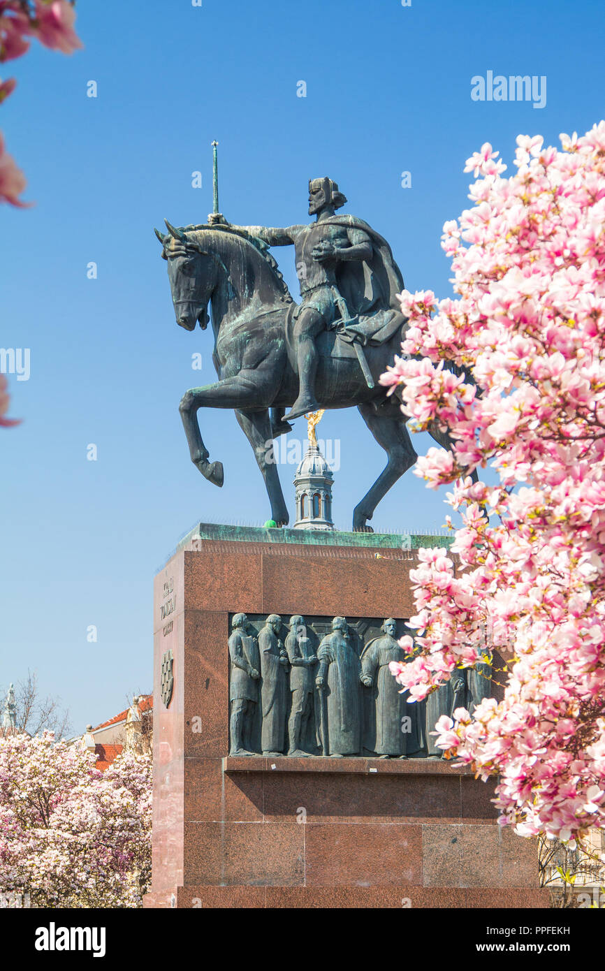 King Tomislav statue in Zagreb, Croatia, over Japanese cherry blossom ...