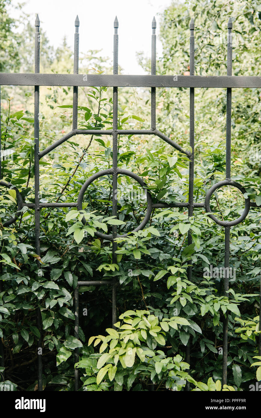 Bio fence hi-res stock photography and images - Alamy