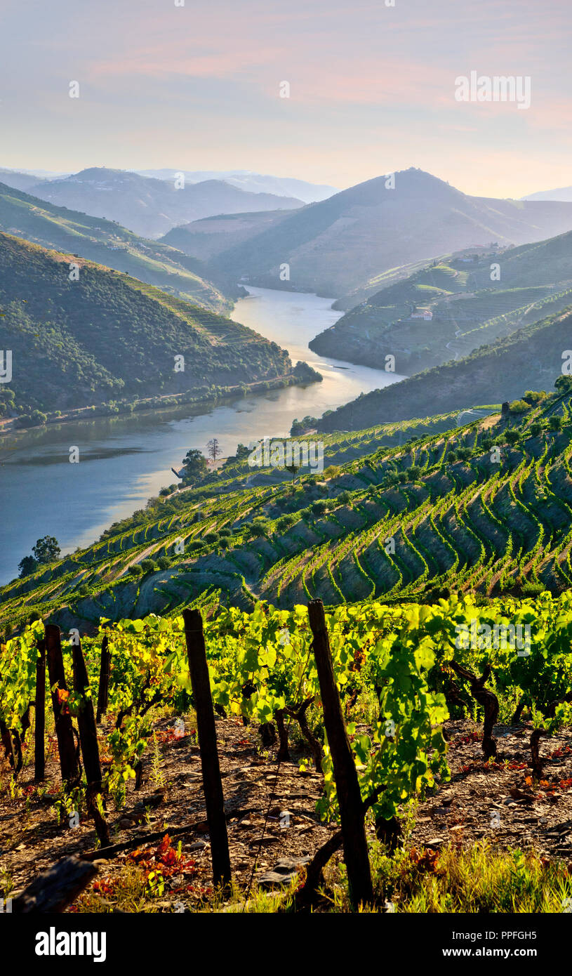 Pinhao portugal hi-res stock photography and images - Alamy