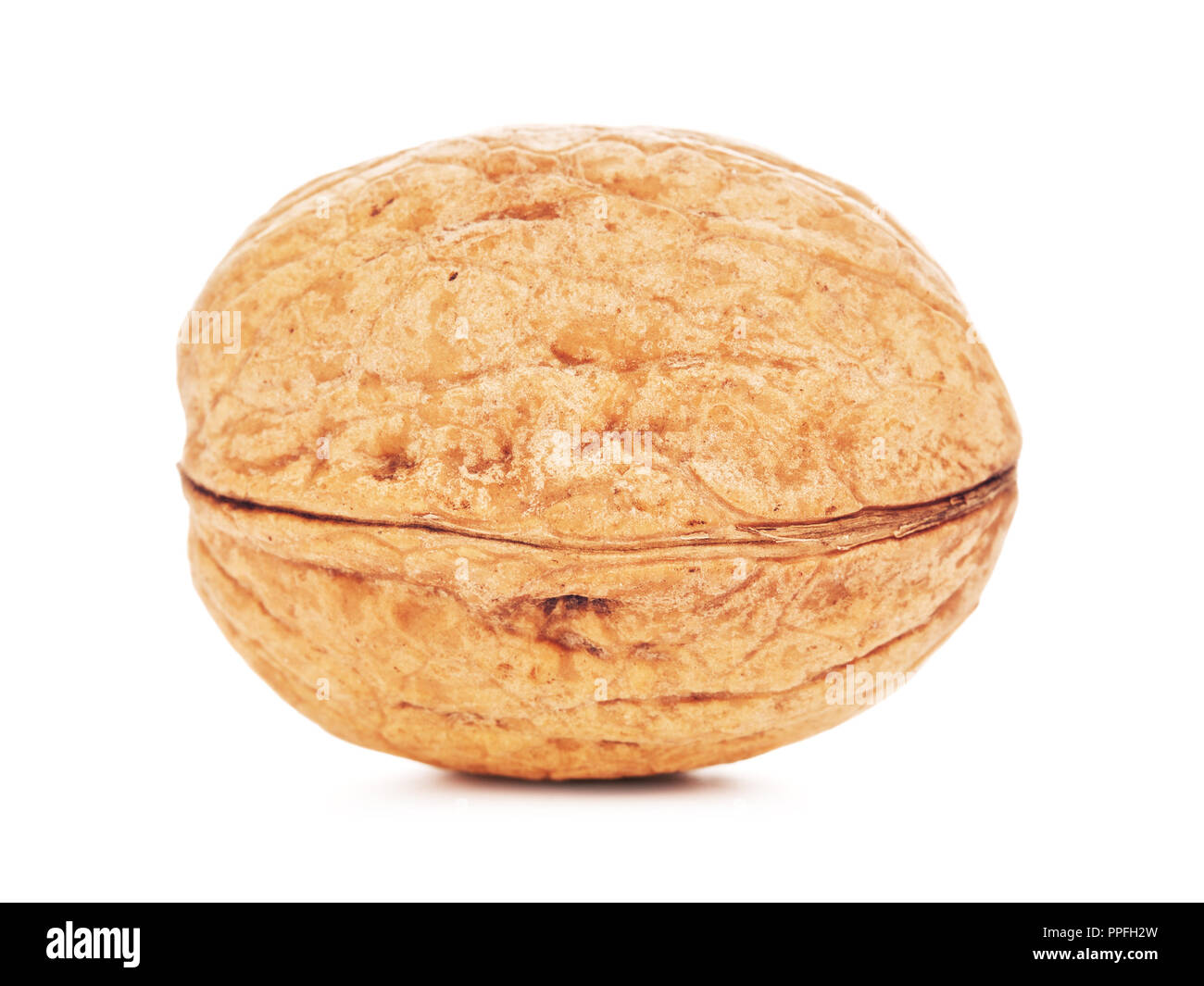 single walnut in a shell, isolated on white background Stock Photo - Alamy