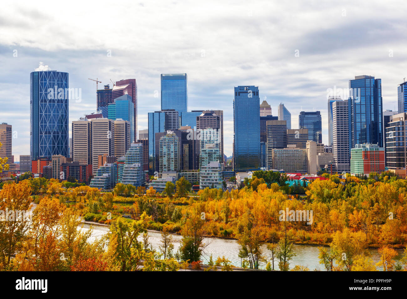 Calgary downtown skyline during Fall or Autumn colors with Bow River ...