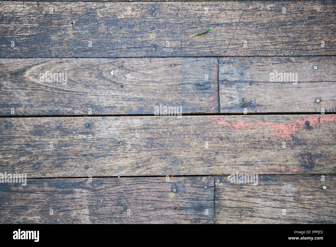 old aged color painted textured rough natural wooden fence floor wall ...