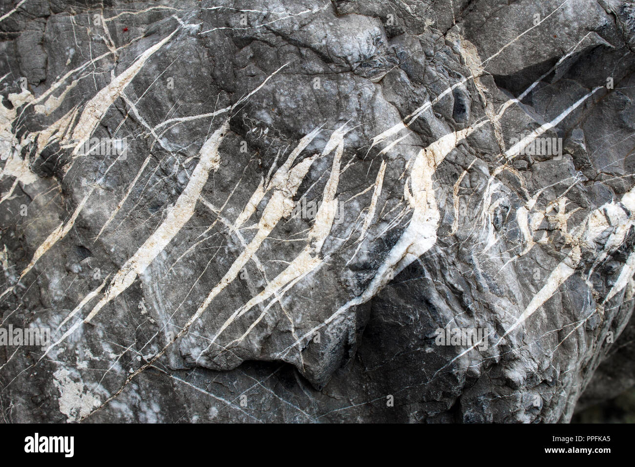 Rock with veins of quartz hi-res stock photography and images - Alamy