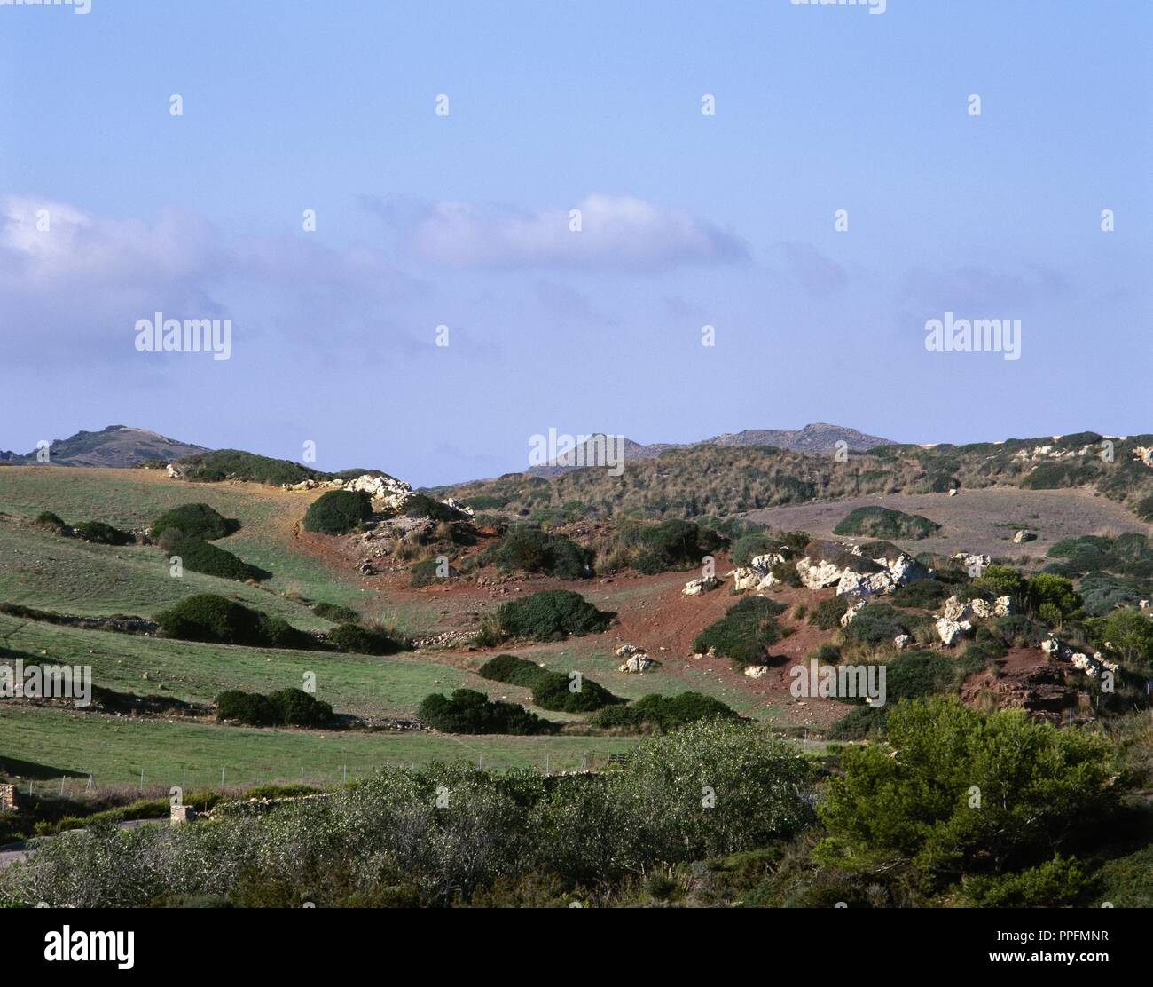 Primitive minorca hi-res stock photography and images - Alamy