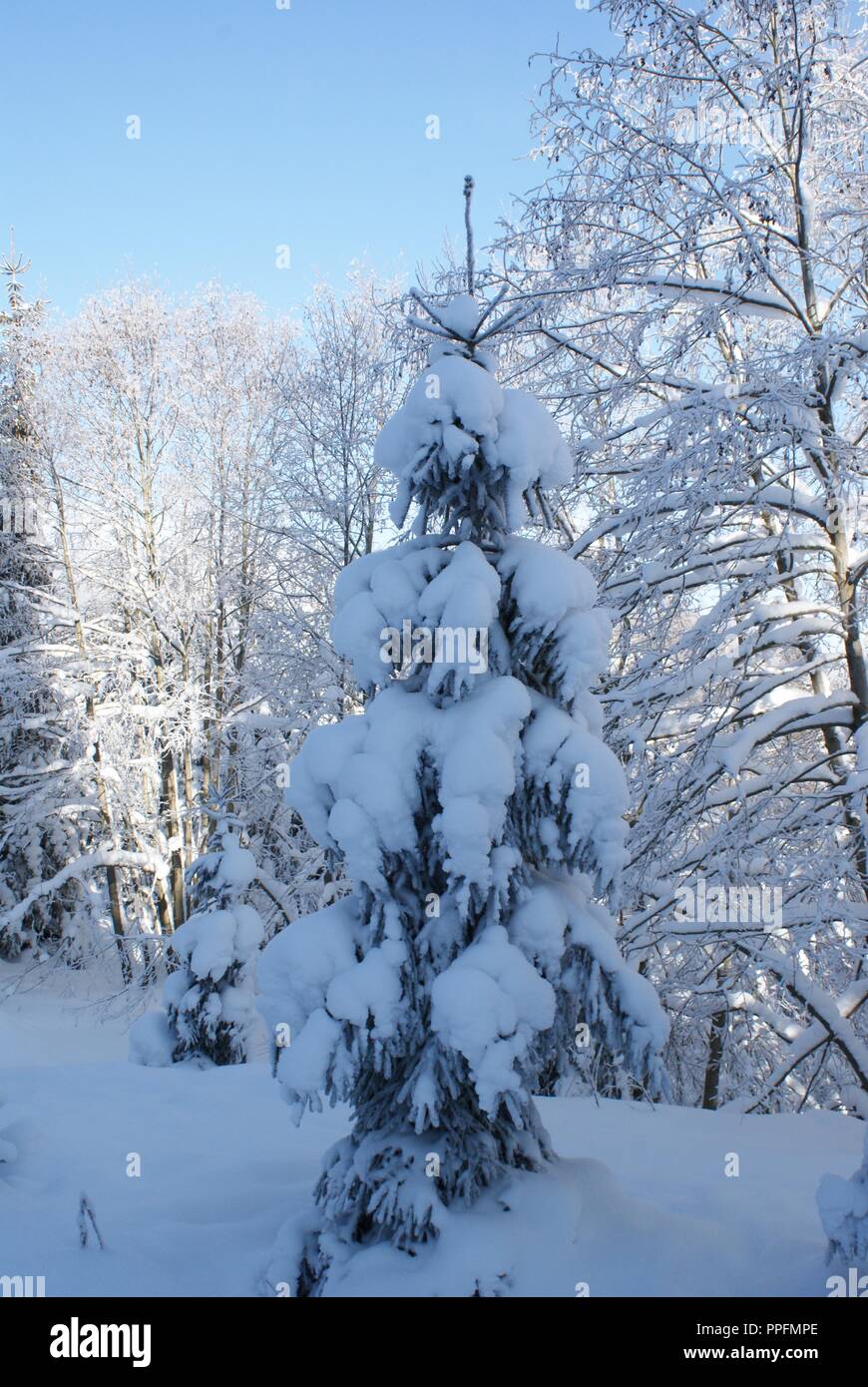 Snowly scenery hi-res stock photography and images - Alamy