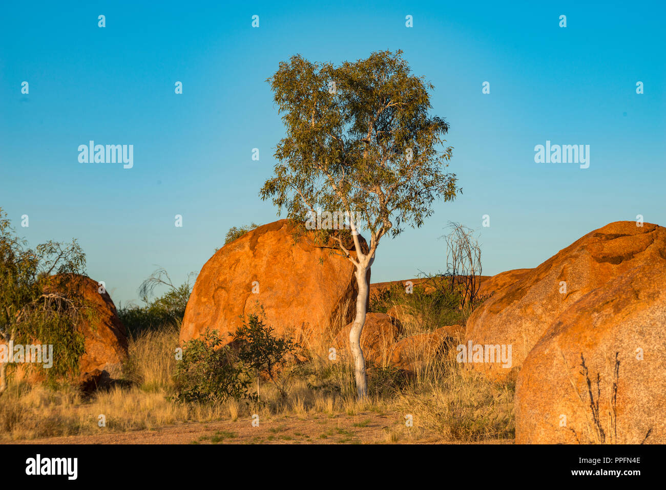 Sunset at the Devil’s Marbles near Tennant Creek., Australia, Northern ...