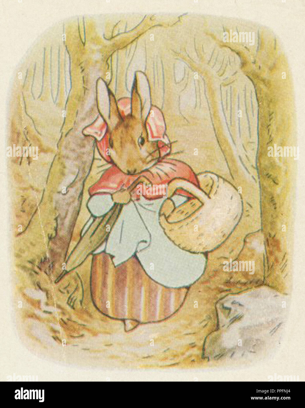 Peter Rabbit Beatrix Potter High Resolution Stock Photography and ...