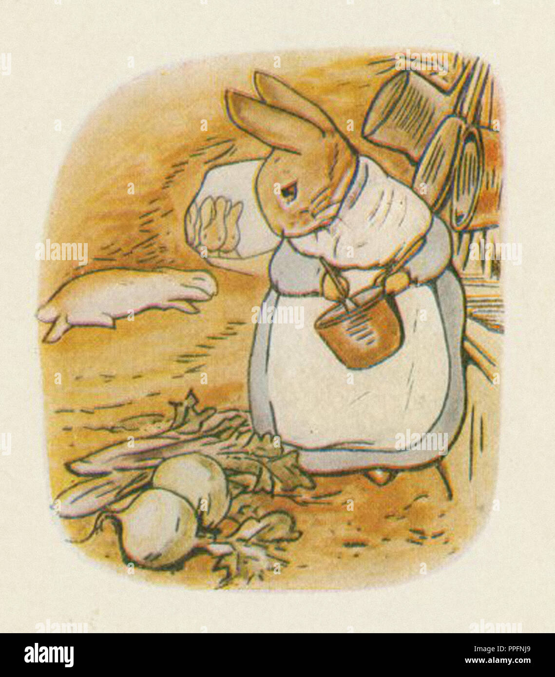 Peter Rabbit Beatrix Potter Stock Photos & Peter Rabbit Beatrix Potter ...