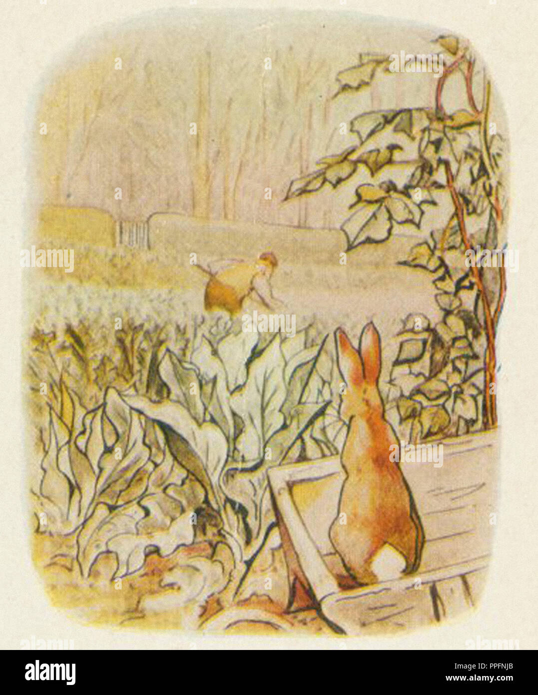 Peter Rabbit Easter High Resolution Stock Photography and Images - Alamy