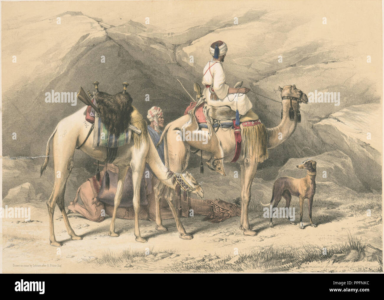 Wise Men Camel Art High Resolution Stock Photography and Images - Alamy