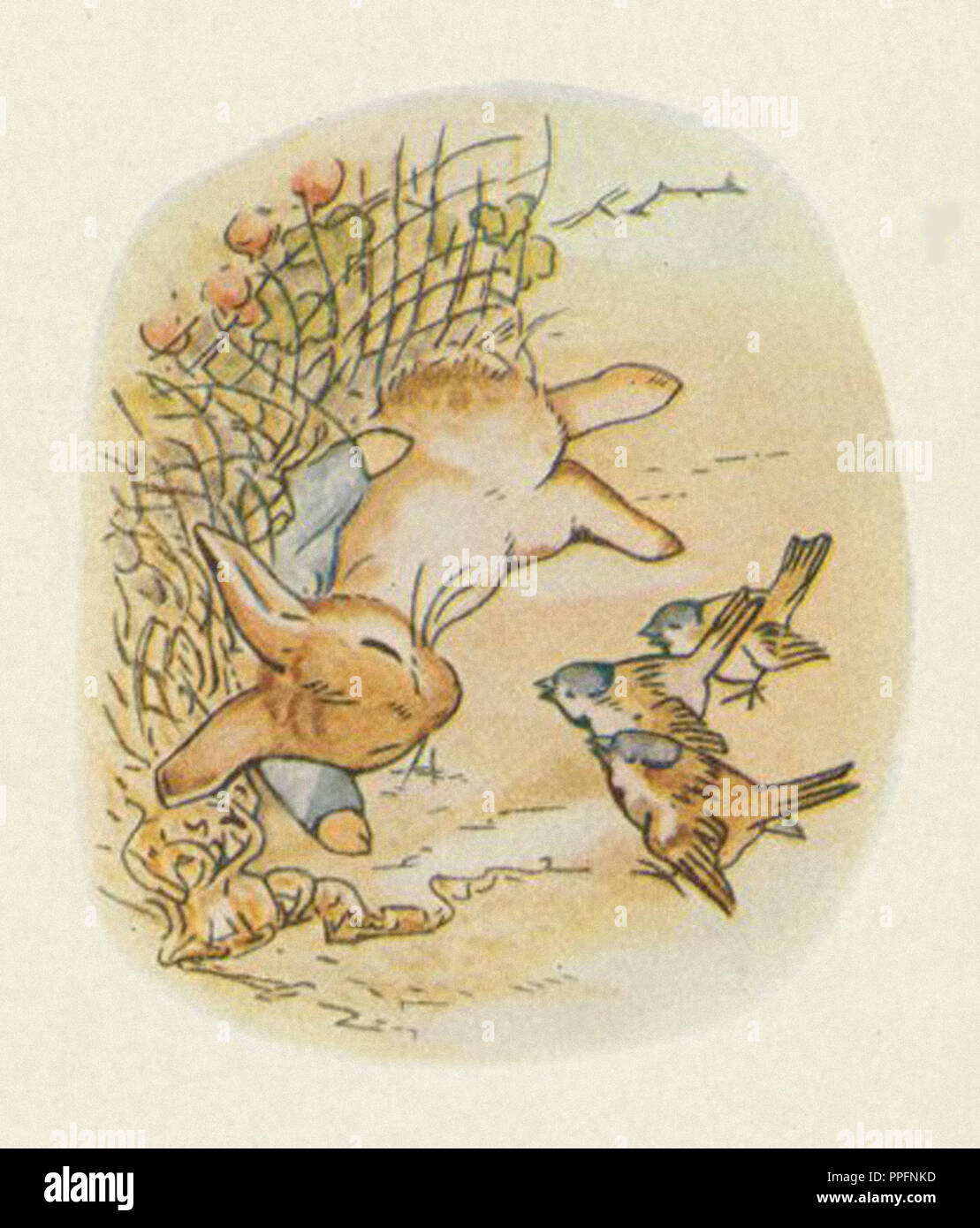 Peter Rabbit Easter High Resolution Stock Photography and Images - Alamy