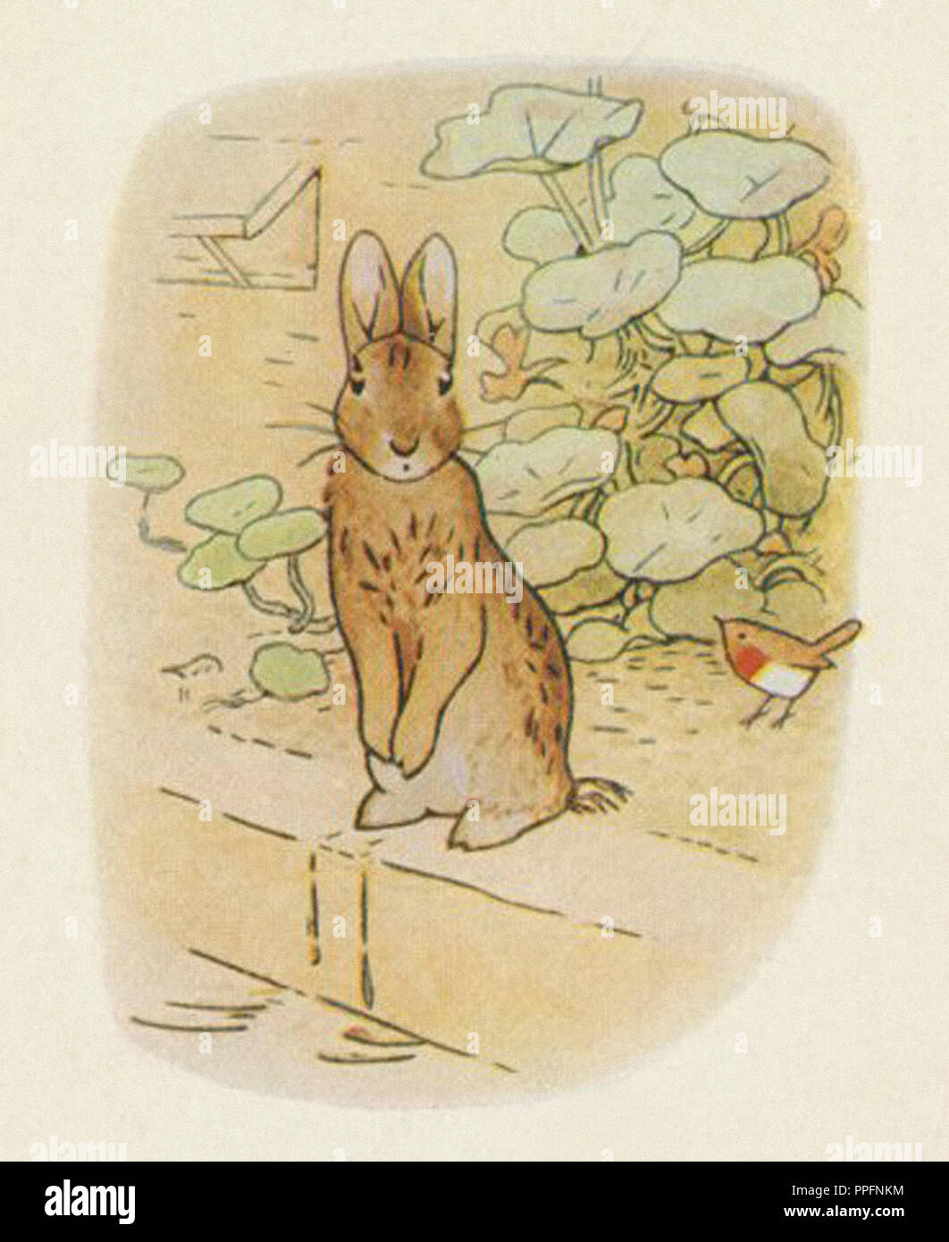 Beatrix Potter Illustration Stock Photos & Beatrix Potter Illustration ...