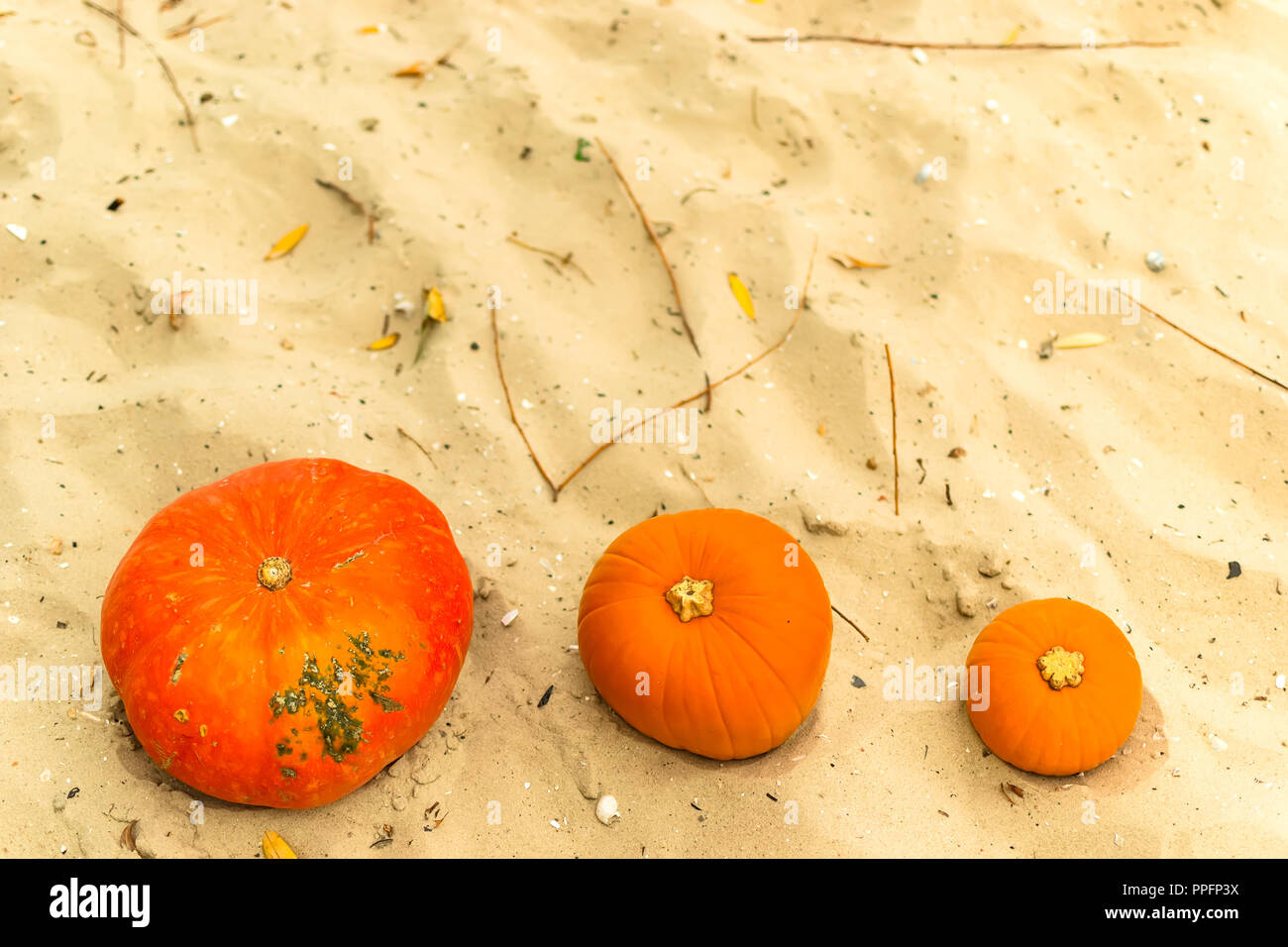 Hallowmas hi-res stock photography and images - Alamy