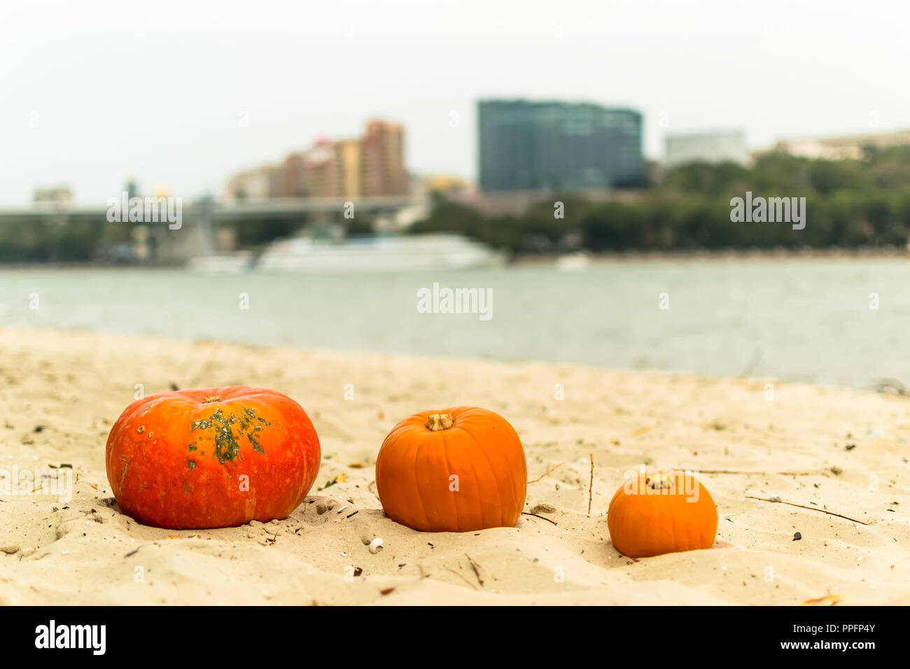 Hallowmas hi-res stock photography and images - Alamy
