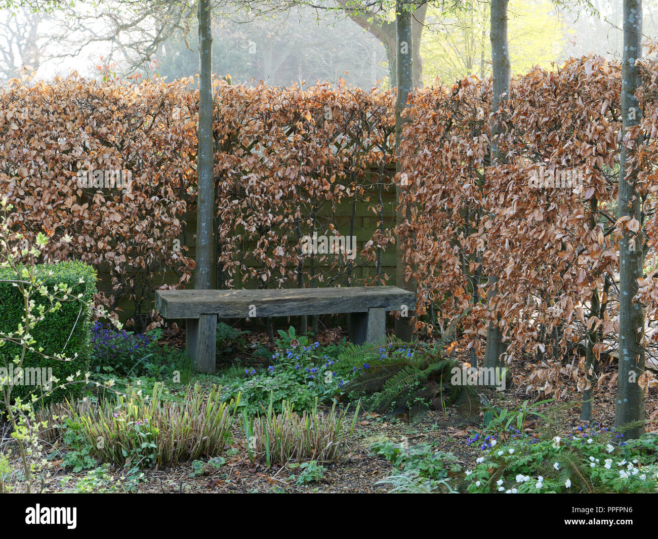 Planting distance hedge plants hi-res stock photography and images - Alamy