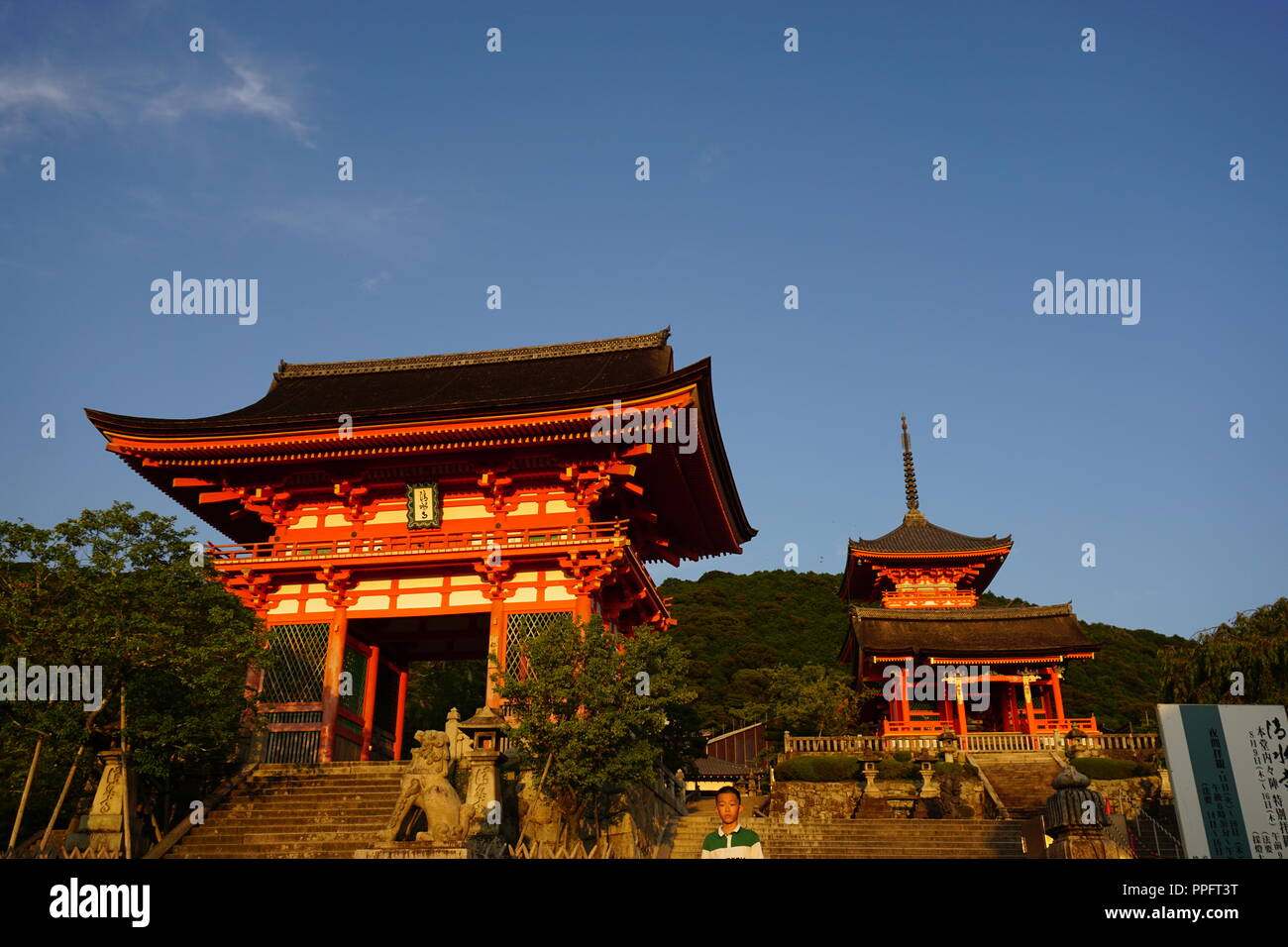 Saimon hi-res stock photography and images - Alamy