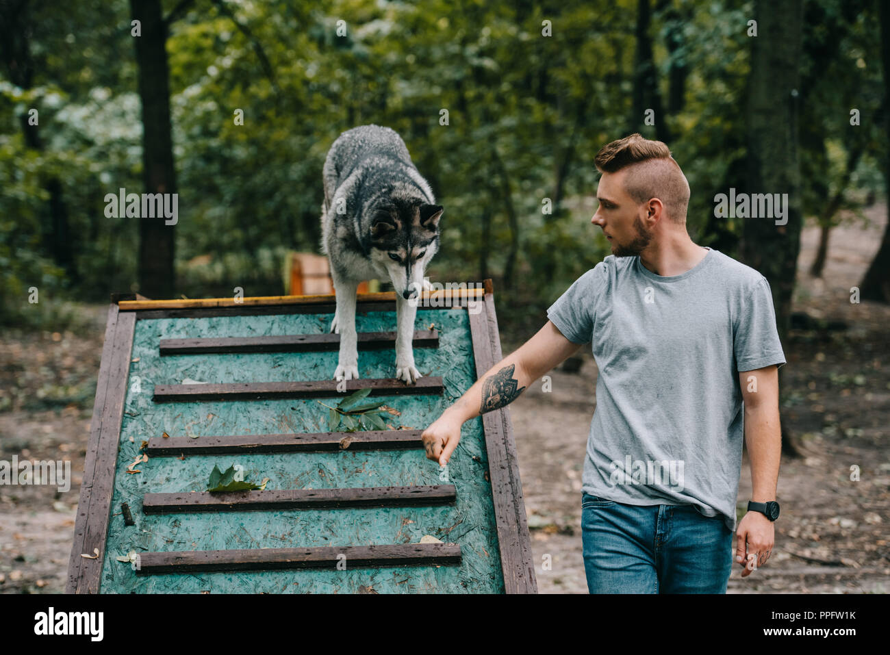 Class trial hi-res stock photography and images - Alamy