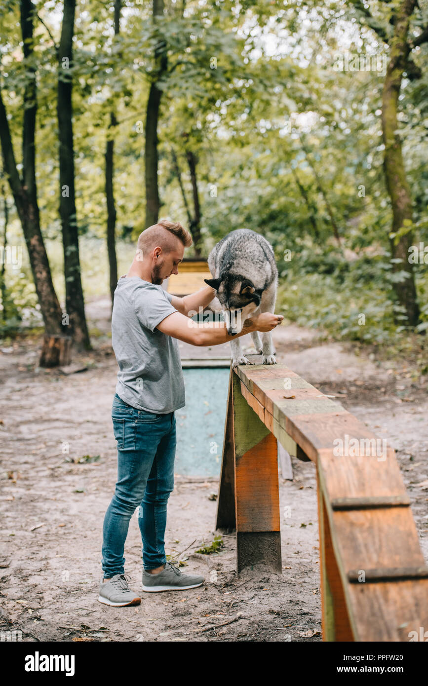 Dog obstacle on walk hi-res stock photography and images - Alamy