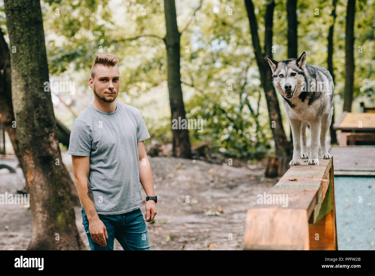 Dog obstacle on walk hi-res stock photography and images - Alamy