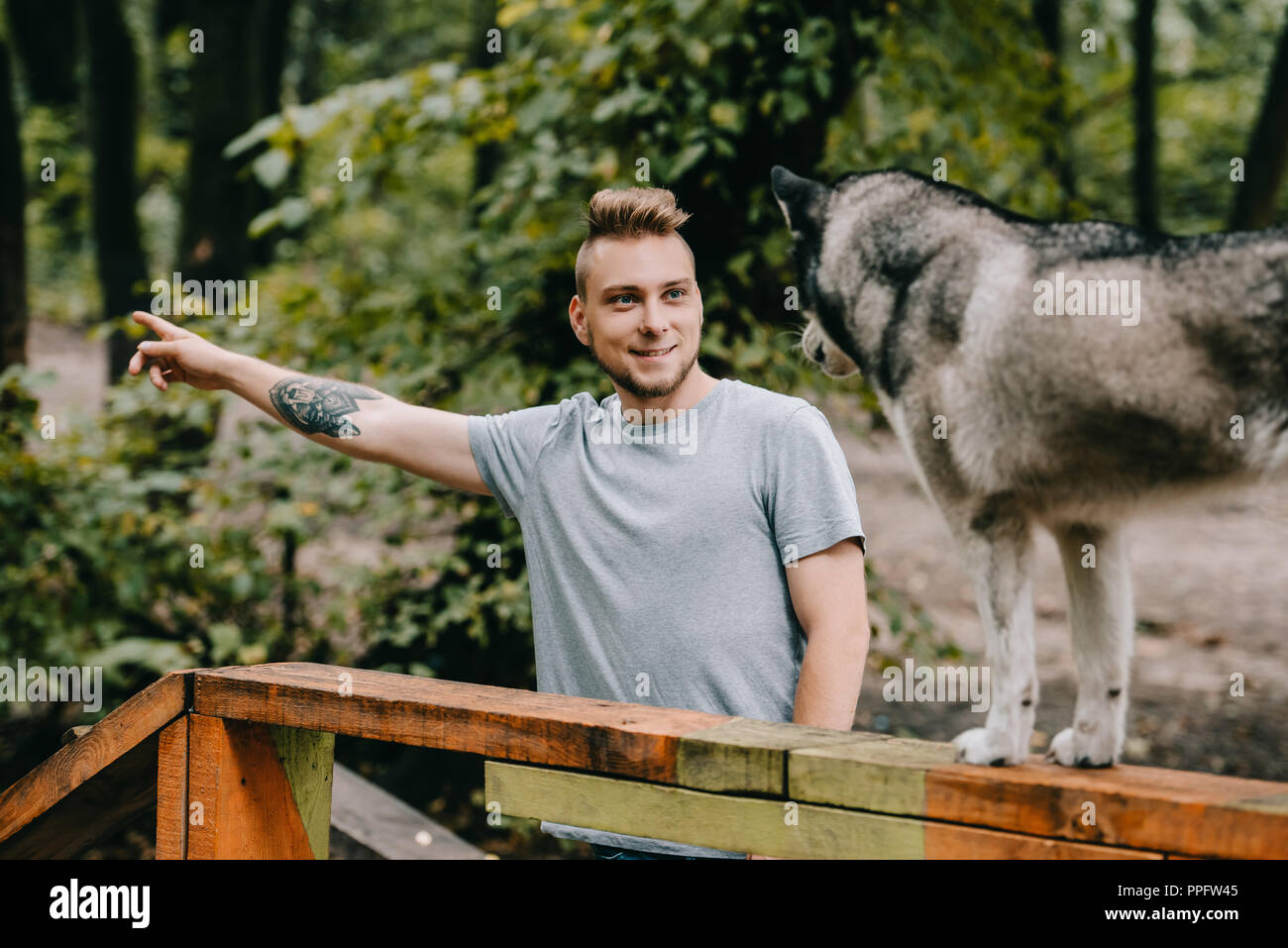 Dog obstacle on walk hi-res stock photography and images - Alamy