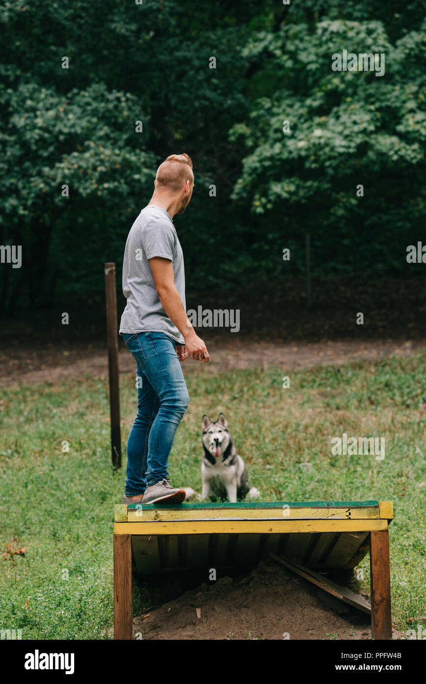 cynologist with siberian husky on dog walk obstacle in obedience class ...