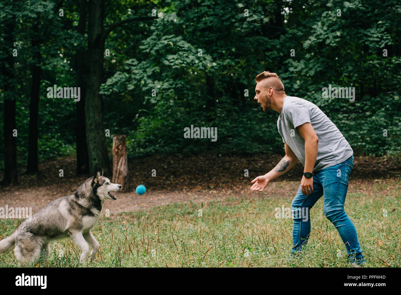 Man throwing ball for dog hi-res stock photography and images - Alamy