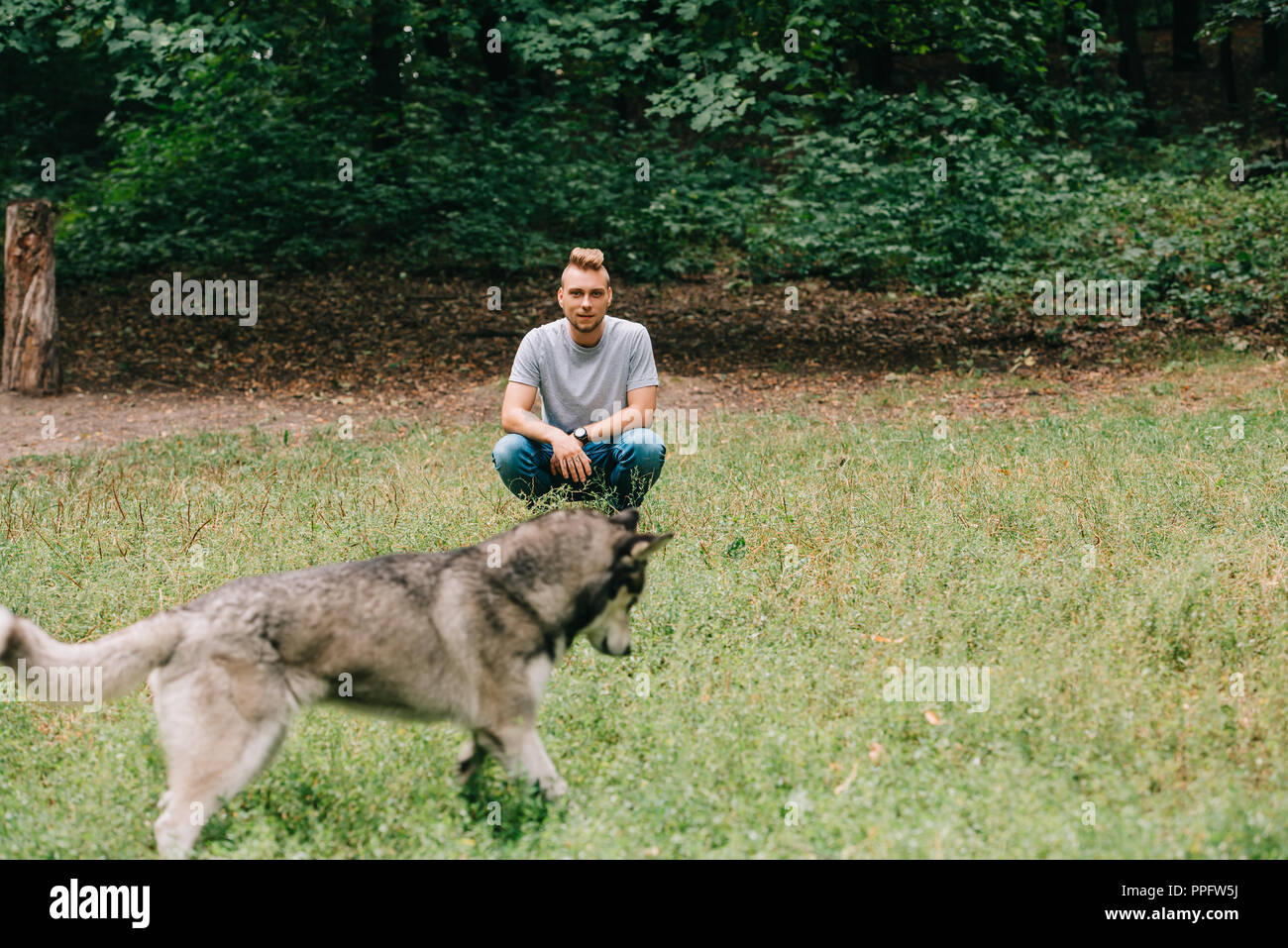 Male playing siberian husky dog hi-res stock photography and images - Alamy