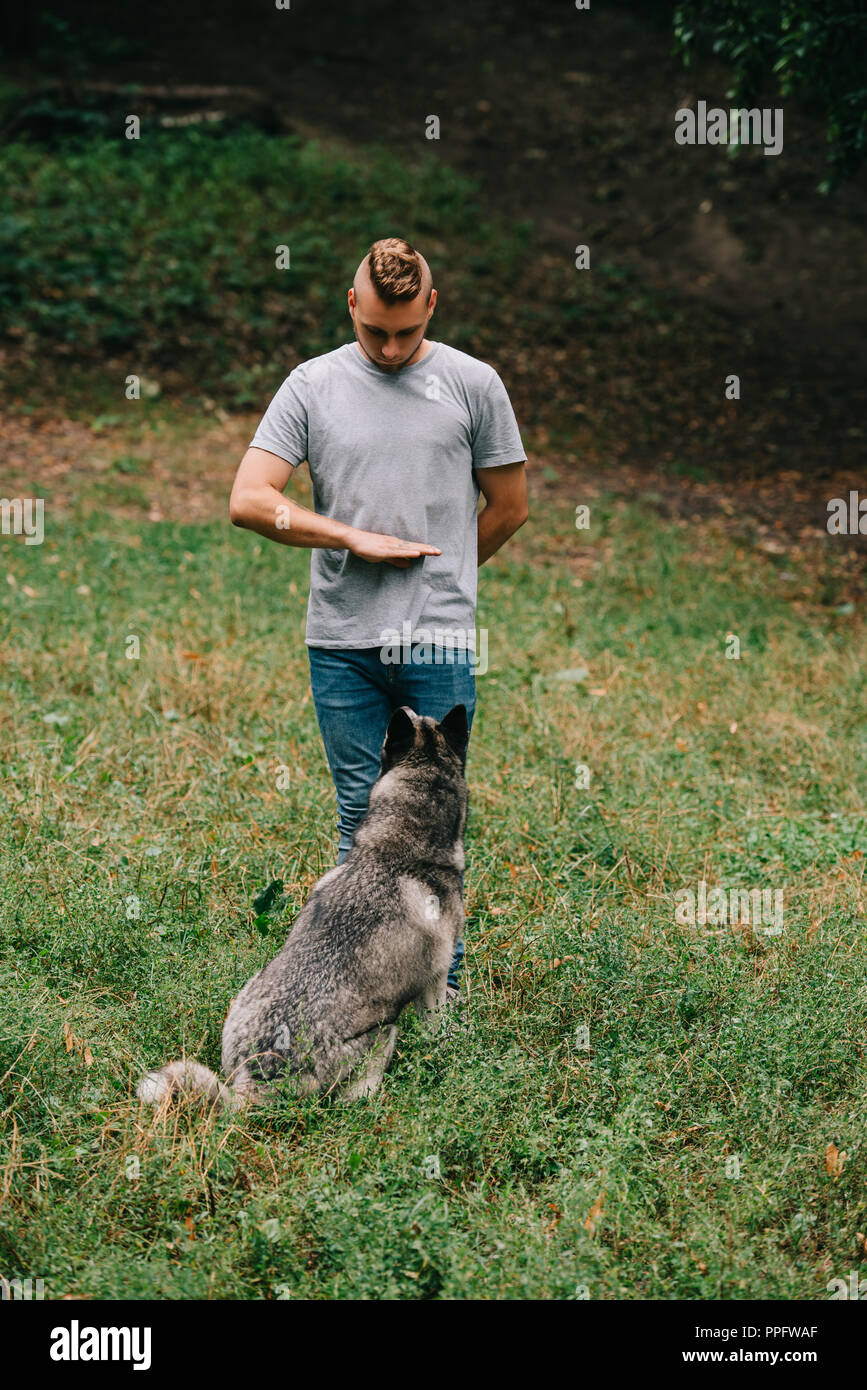 Hand stand class hi-res stock photography and images - Alamy