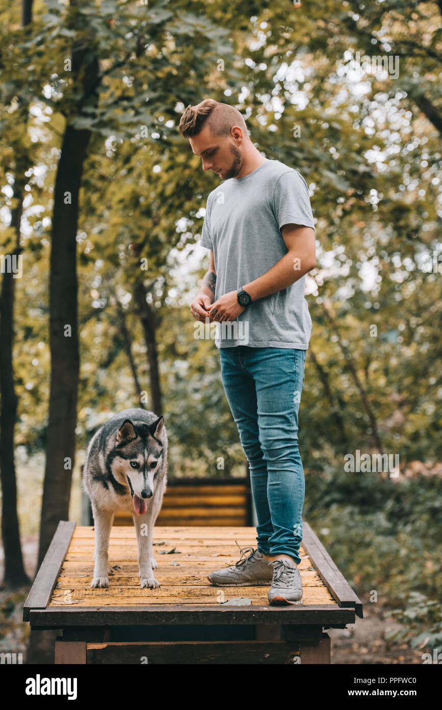 Dog obstacle on walk hi-res stock photography and images - Alamy