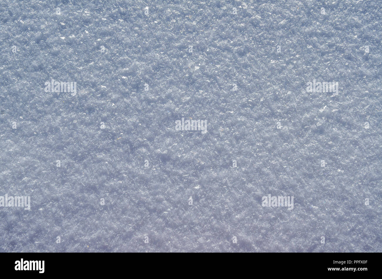 Fresh fluffy snow surface texture close up - winter background with ...