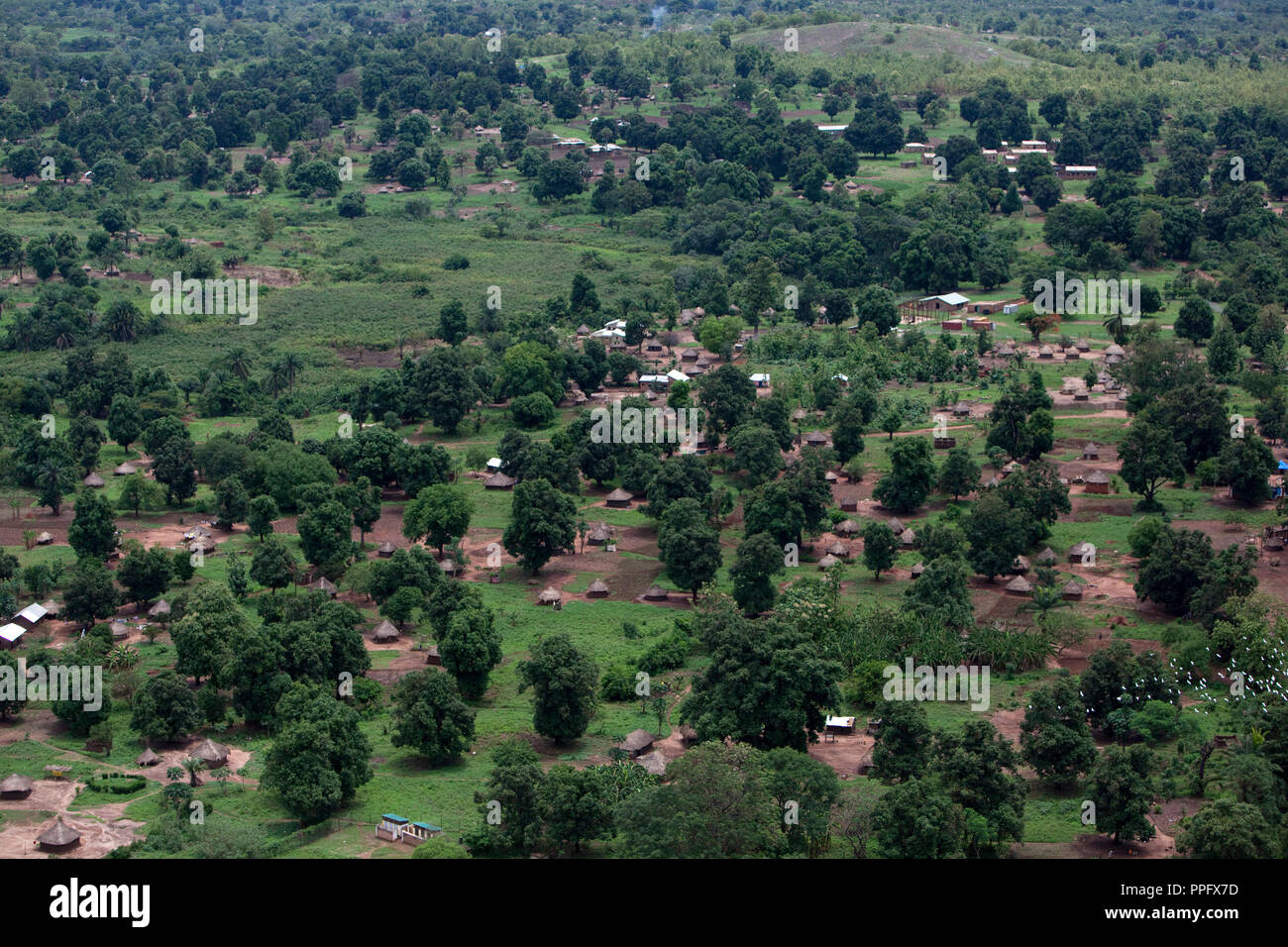 Anthropologist africa tribe hi-res stock photography and images - Alamy
